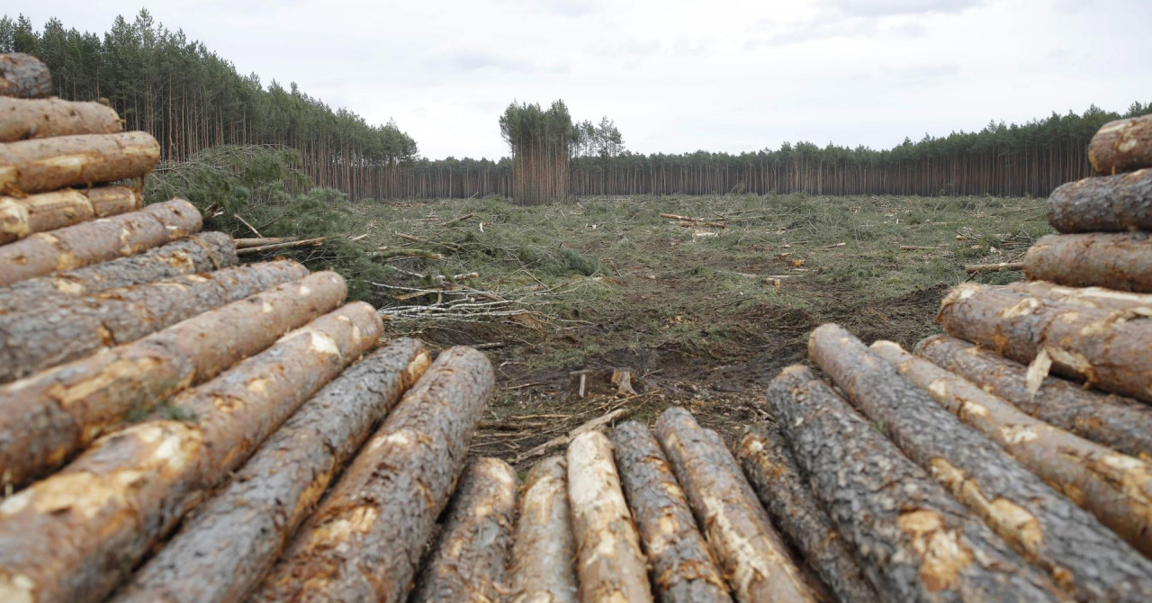 Jutarnji list - Ništa od prve Tesline tvornice u Europi: Gradnju ...