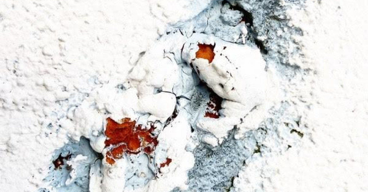 Jutarnji list - Kakav je tajni život zidova otkriva Mario Lalich ...