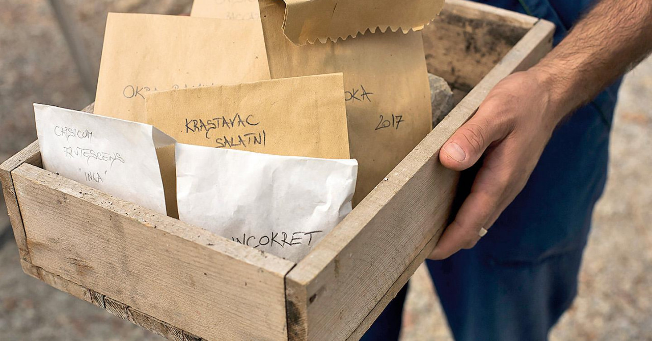 Dom i dizajn - Vrijeme je za skupljanje sjemena: Kako biste na proljeće ...