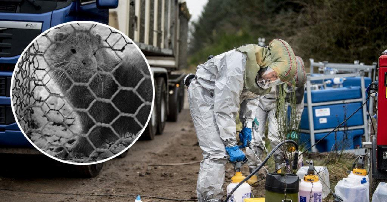 Jutarnji list - Najveća enigma omikrona: ‘Mutacije su toliko brojne i ...
