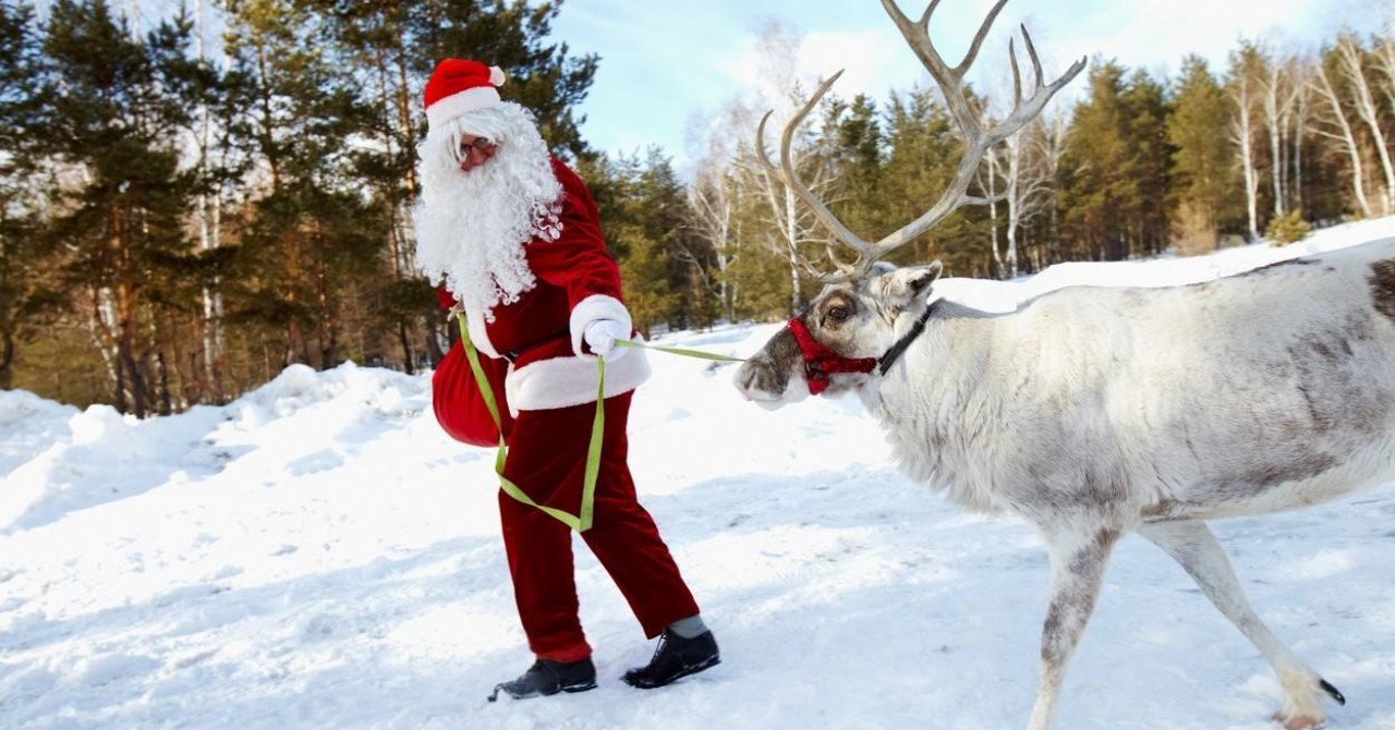 Jutarnji list - Mislili ste da znate sve o sobovima Djeda Mraza? Evo ...