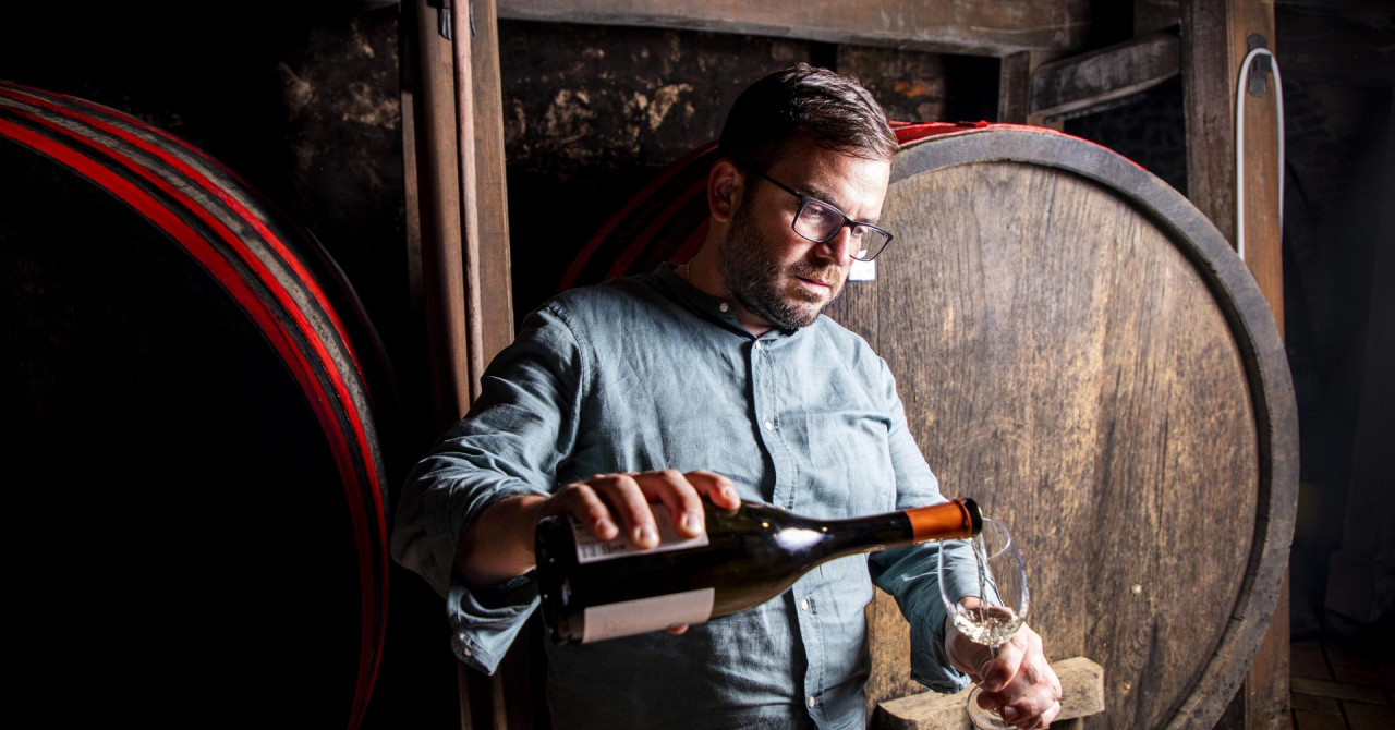 Dobra Hrana - David Štampar: vinar s vizijom i predvodnik generacije ...