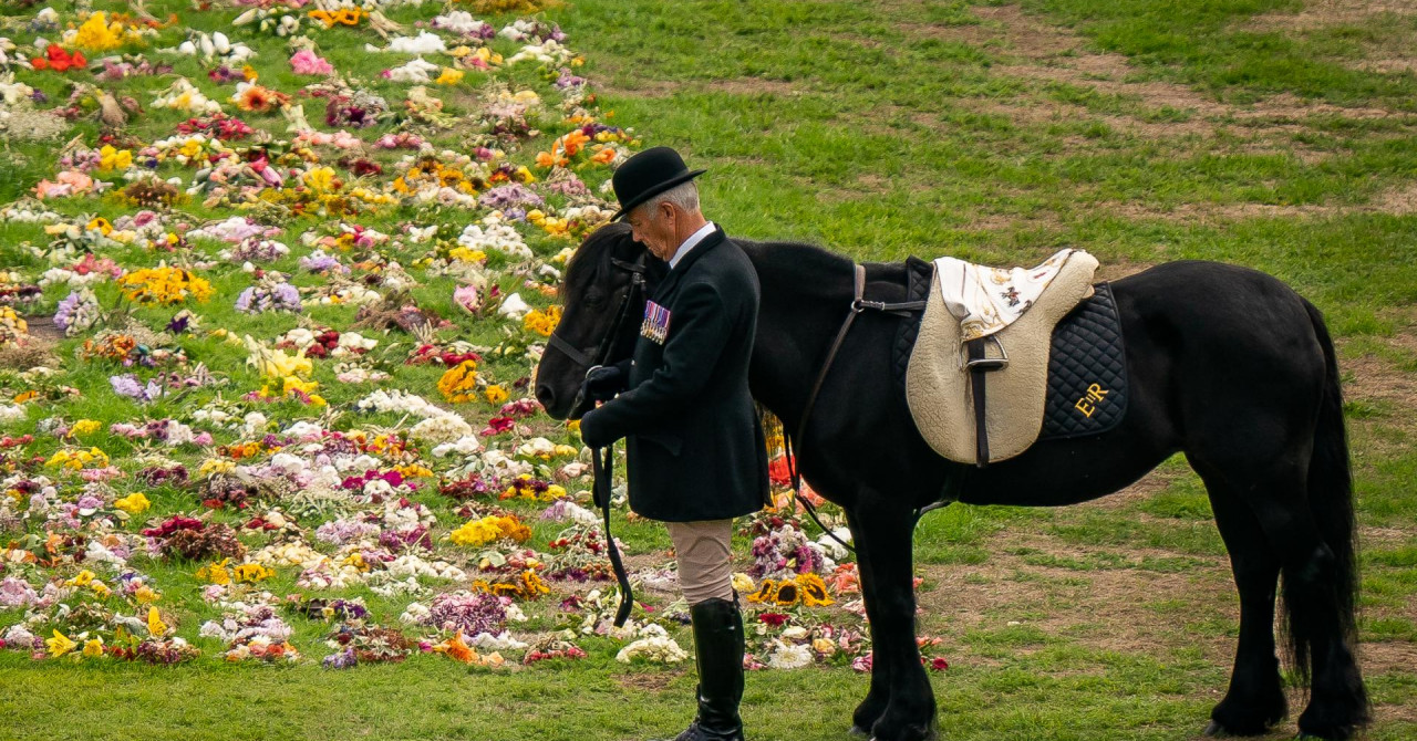 Gloria - Kraljičin omiljeni poni gledao je pogrebnu povorku