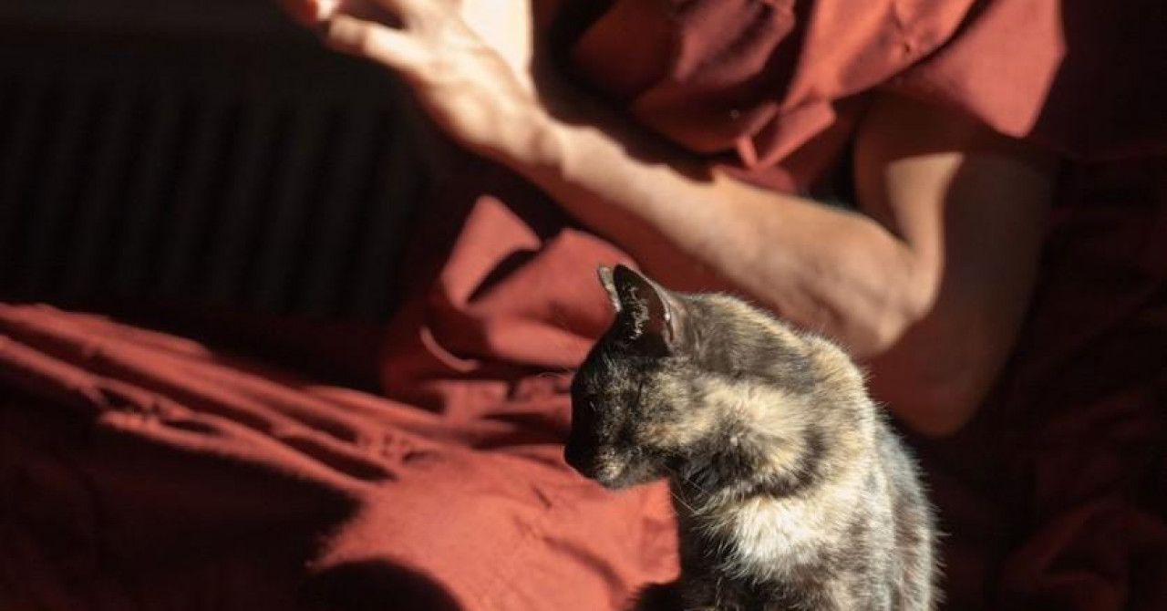 Jutarnji list - Nevjerojatna snimka: Čovjeka u meditaciji pokušale ...