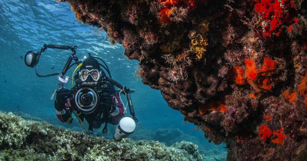 Jutarnji list - Kralj i kraljica mirnog mora podno hridi Mulo svakako ...