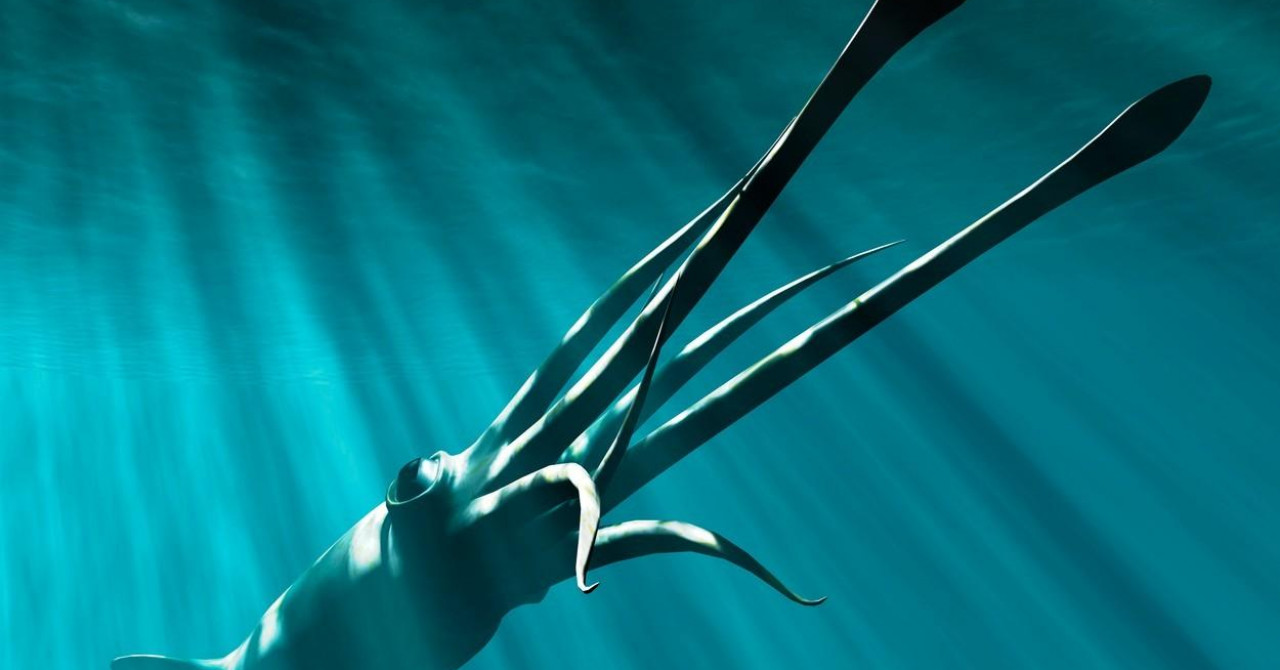 Jutarnji list - Čovjek ronio s 2,5 metra dugom lignjom: 'Malo me bilo ...