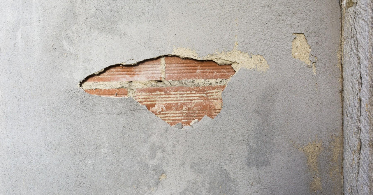 Jutarnji list - Obitelj se žalila da ima problem s insektima, a kad su probušili rupu u zidu ...