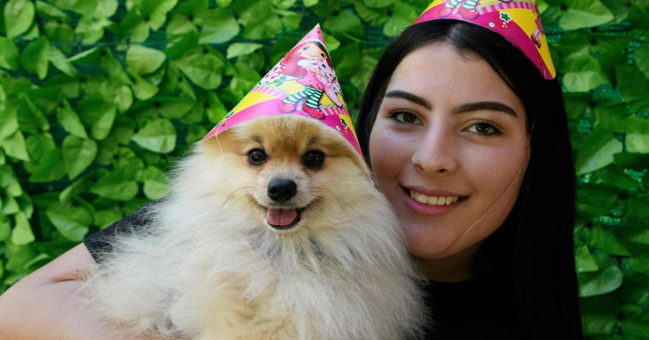 Jutarnji list - U ovoj zemlji živi oko 3,4 milijuna ljubimaca, a u krizi vlasnici na njih i ...