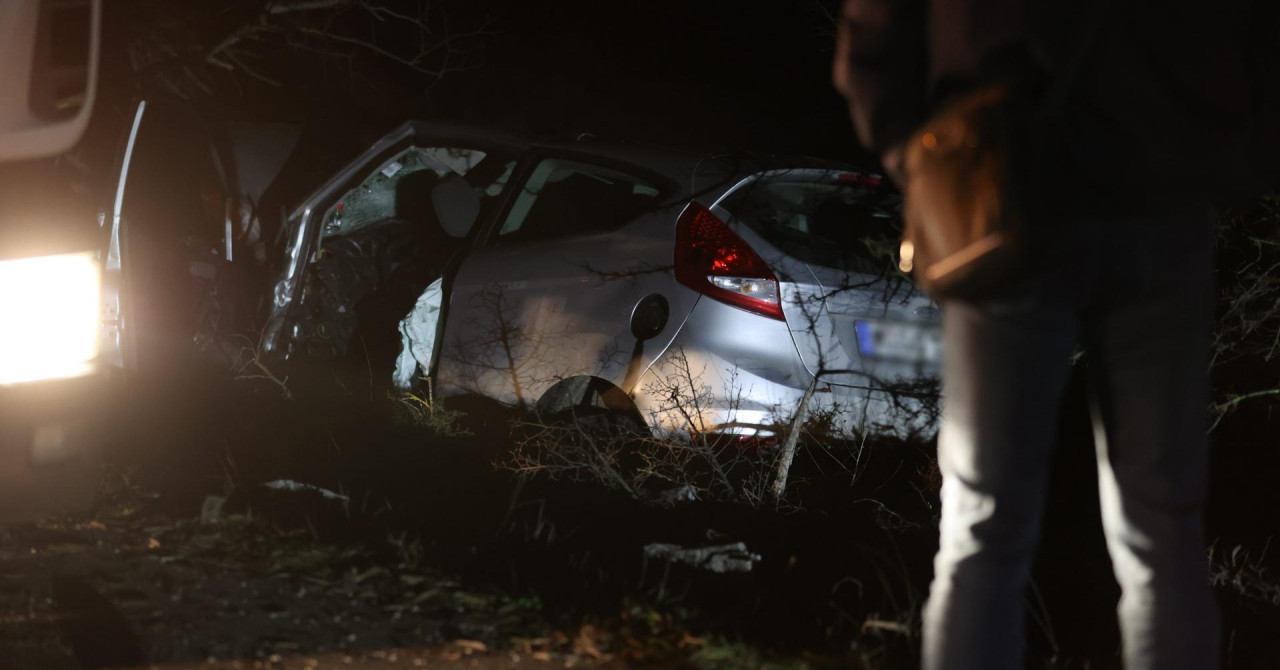 Jutarnji list - Mrtav pijan izletio s ceste, razbio punčev auto i otišao spavati: 'Ne sjećam se ...