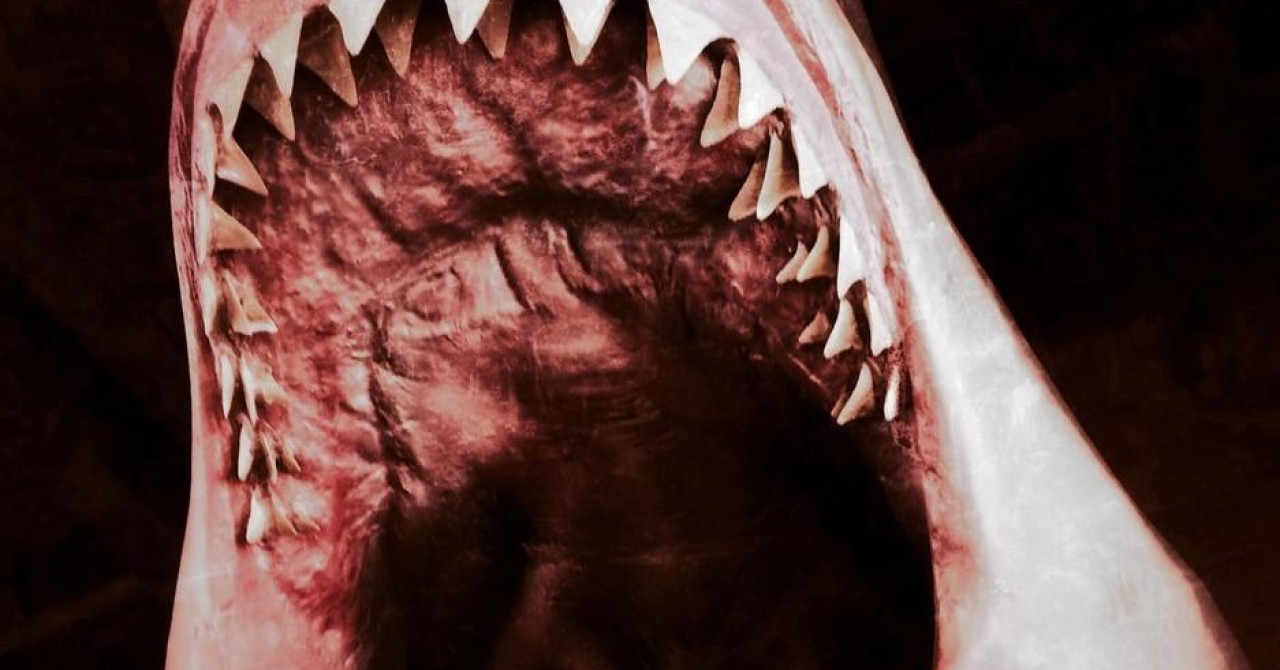 Jutarnji list - Otkriveno da je riba koju je kontroverzni stručnjak ...