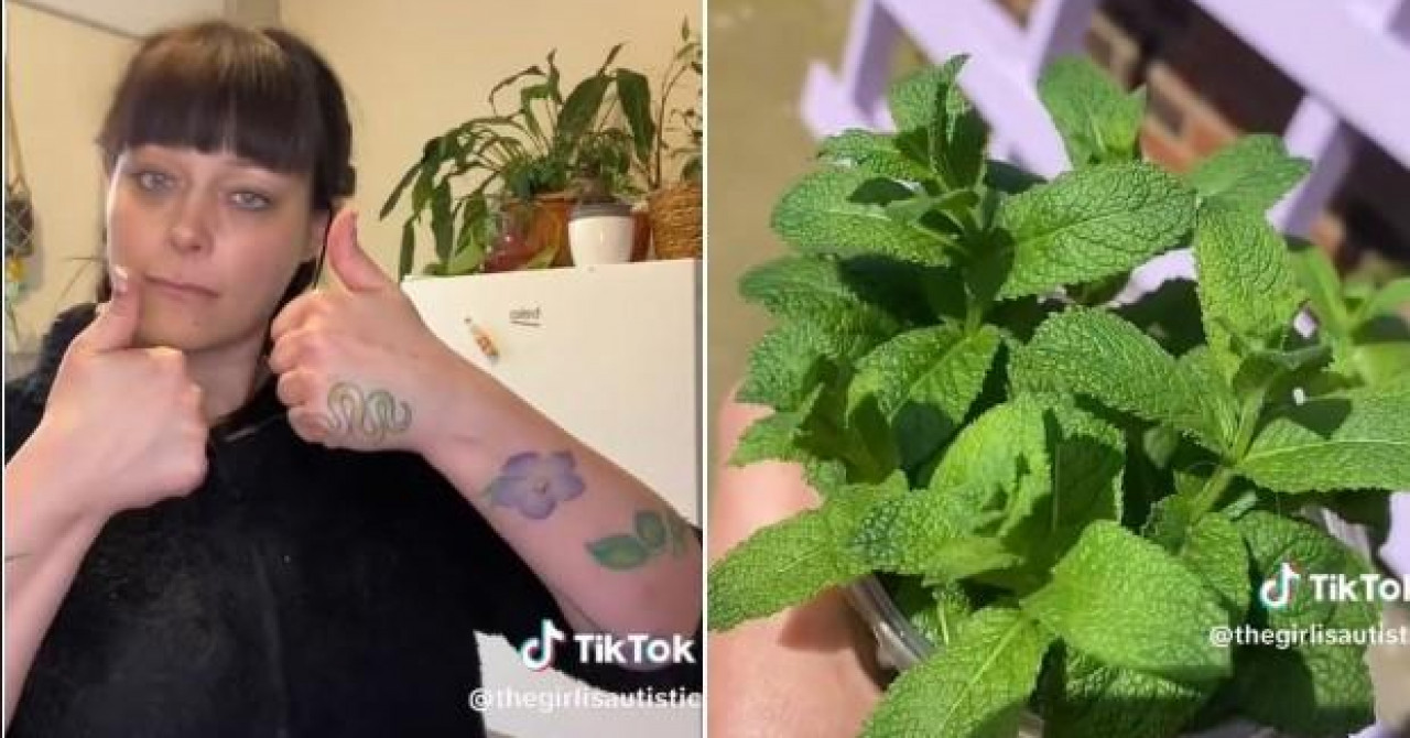 Dom i dizajn - Ako ste metvicu do sada uvijek kupovali, ova vrtlarica ima jednostavan trik za ...