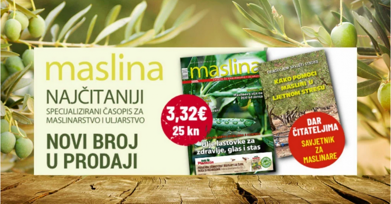 Jutarnji list - Nova Maslina na kioscima