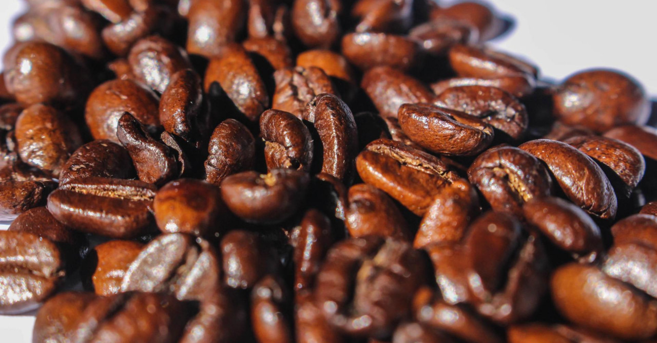 Dobra Hrana - Nova, iznimna sorta kave spas je za ekonomiju ove zemlje ...