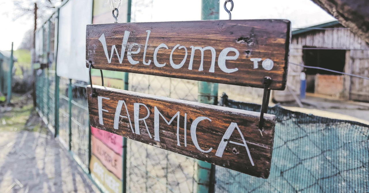 Jutarnji list - Farmica traži volontere: 'Mi vama dajemo besplatan ...