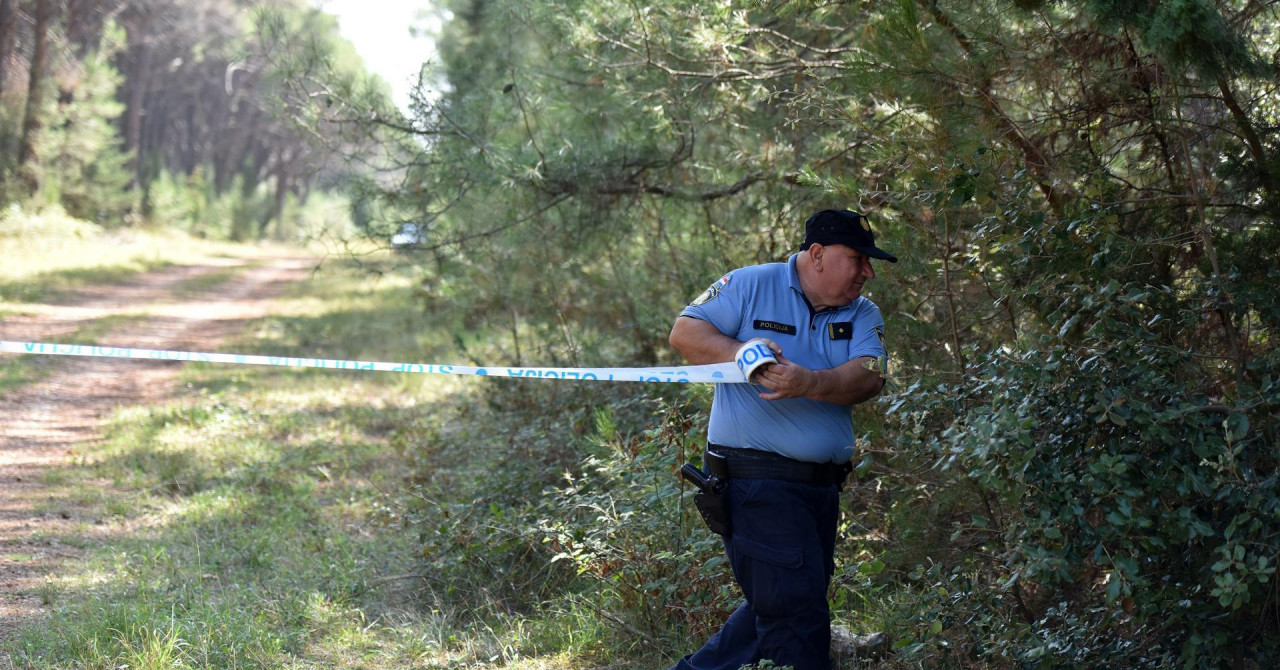 Jutarnji list - Smrt u šumi pored Kalnika: Muškarac rezao deblo bukve ...
