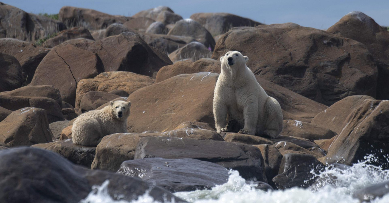 Jutarnji list - SAD će otkazati koncesije nafte i plina na Aljasci izdane pod Trumpom: 'Štitimo ...