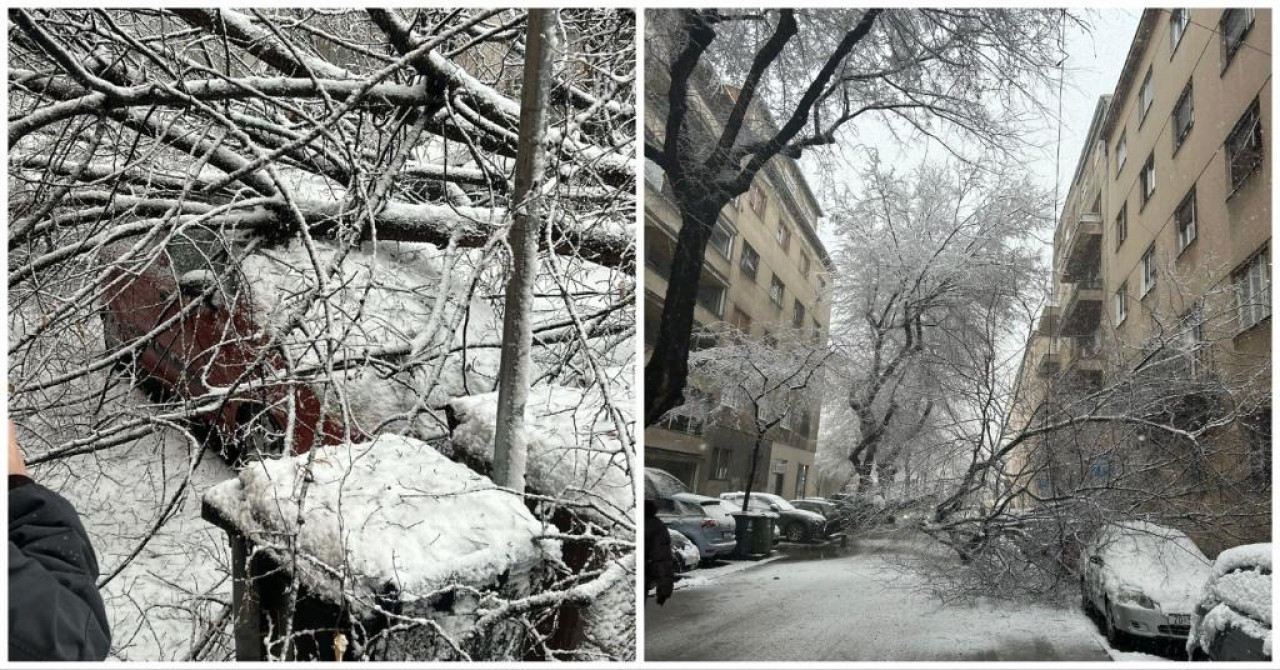Jutarnji list - U centru Zagreba stablo palo na automobil, stigli i vatrogasci: 'Sva sreća da ...