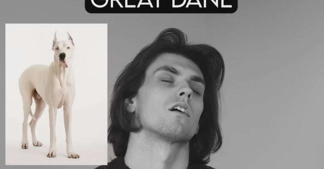 Jutarnji list - Kanadski komičar poznat po skečevima u vezi pasa ima ...