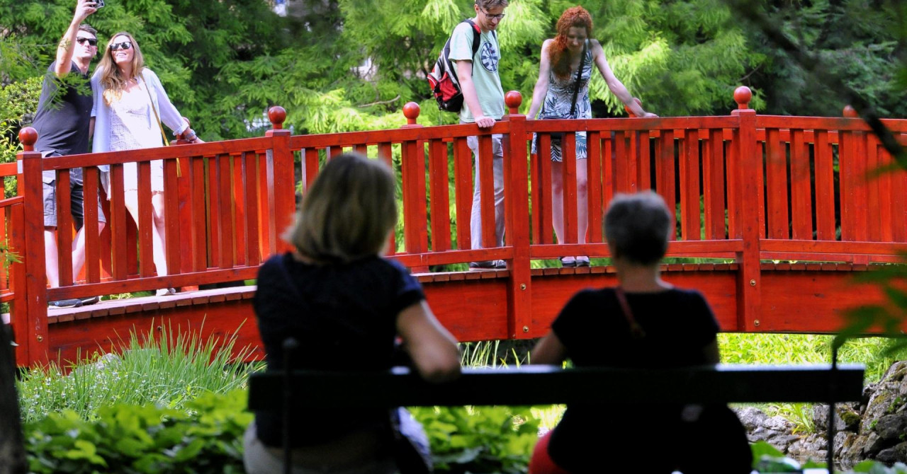 Jutarnji list - Iznenađenje u Botaničkom vrtu: Proljetnice su uranile ...