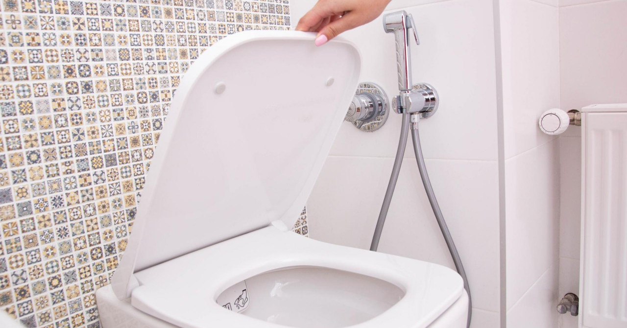 Dom i dizajn - Nevjerojatna ideja za čišćenje WC školjke: ovoga se ...