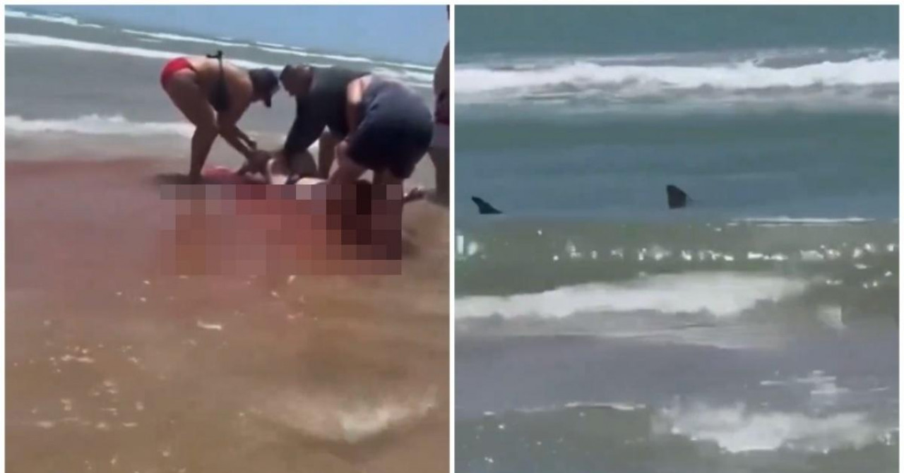 Jutarnji list - Društvenim mrežama kola jeziva snimka napada morskog psa, ženu su u panici ...