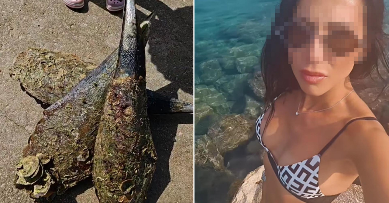 Jutarnji list - Ukrajinka koja je kod Krka iščupala periske pa se hvalila na Instagramu, sama se ...