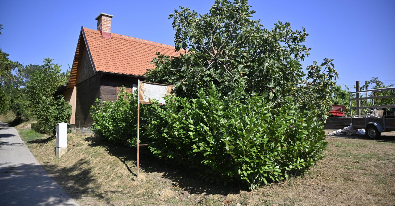 Jutarnji list - 'Prvo je jedan ušao u podrum, pozlilo mu je i srušio se ...