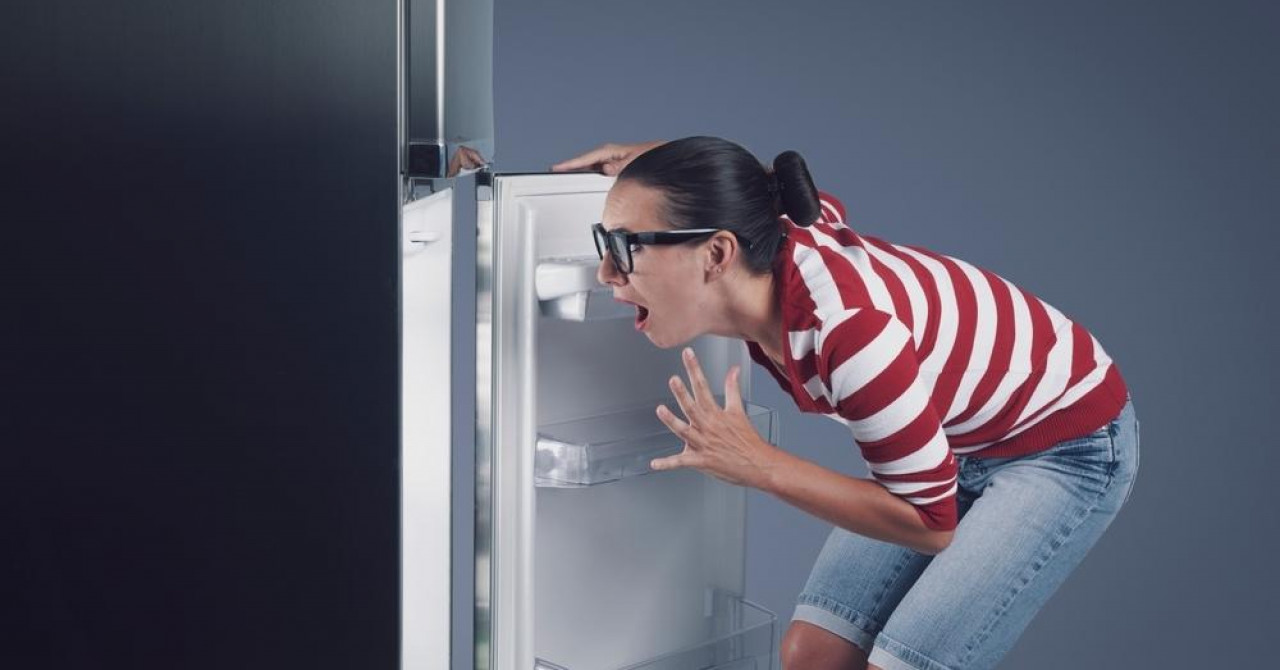 Dom i dizajn - Ljudi u hladnjaku drže vrtnog patuljka, sliku mrtve prirode i buket sušenog ...