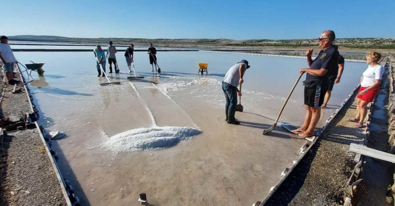 Dobra Hrana - U Paškoj solani organizirano je besplatno branje soli ...