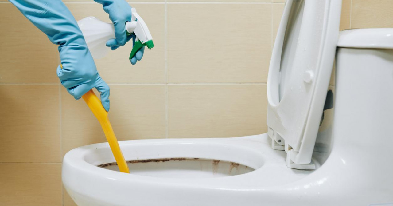 Dom i dizajn - Zašto mrlje ostaju na WC školjci: Učinite jednu stvar i ...
