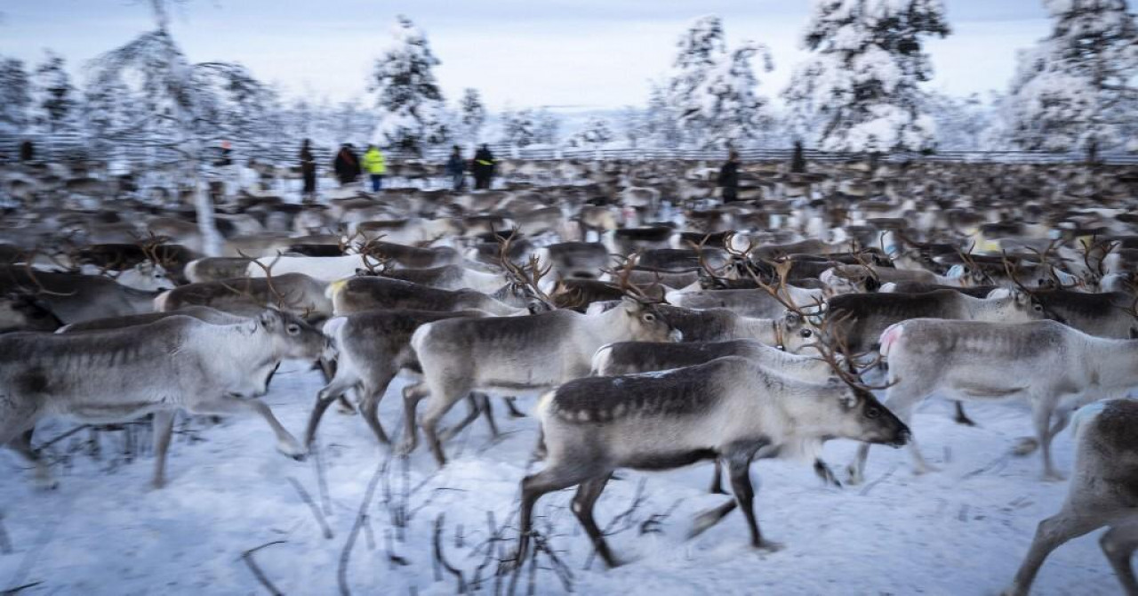 Jutarnji list - Pogledajte što se događa u zemlji Djeda Božićnjaka, gotovo je sa zimskom bajkom ...