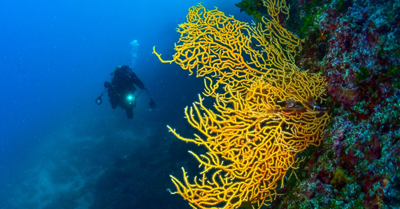 Jutarnji list - Splitski znanstvenici sudjelovali na radionici Budućnost monitoringa morske ...