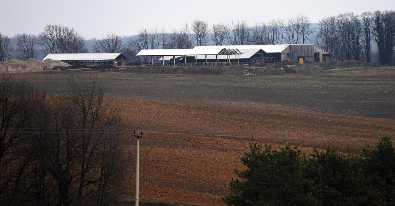 Jutarnji list - Kraj farme na kojoj je prije dvije godine ubijen radnik pronađen novi leš: 'U ...