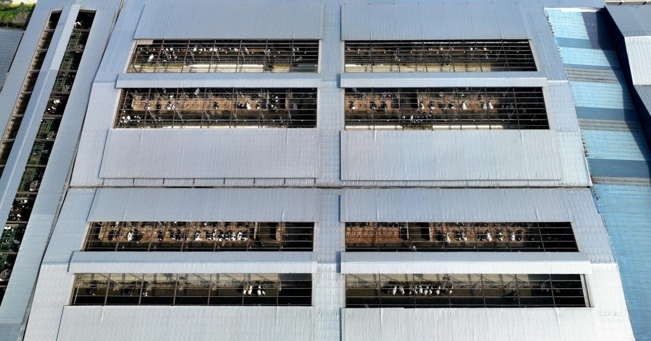 Jutarnji list - Iza prizora na ovoj fotografiji krije se neugodni problem, poguban za naš planet ...