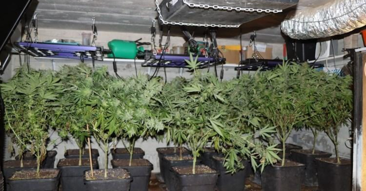 Jutarnji list - Policajci banuli u kuću kraj Sesveta i otkrili veliku ...