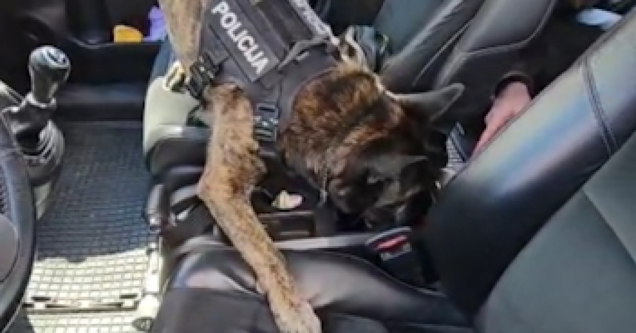 Jutarnji list - Policija zaustavila 67-godišnjaka u Novom Zagrebu, on im predao paketić droge ...