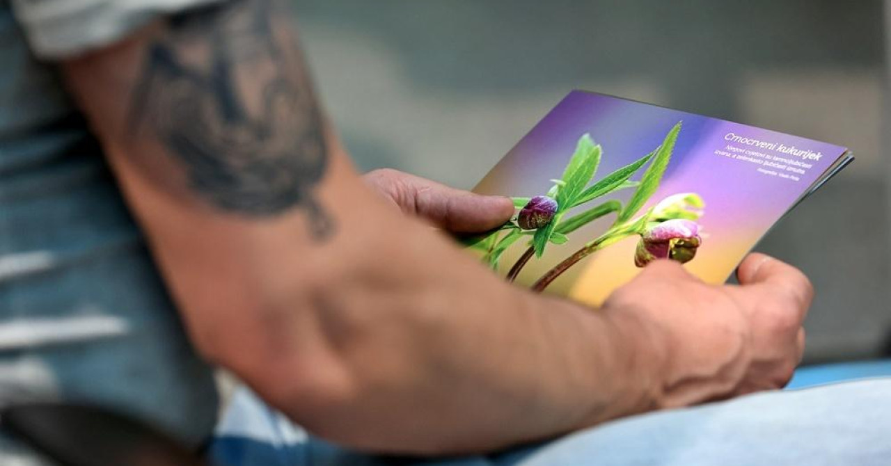 Jutarnji list - Proljetnice u punom sjaju: Otvorena izložba fotografija ...
