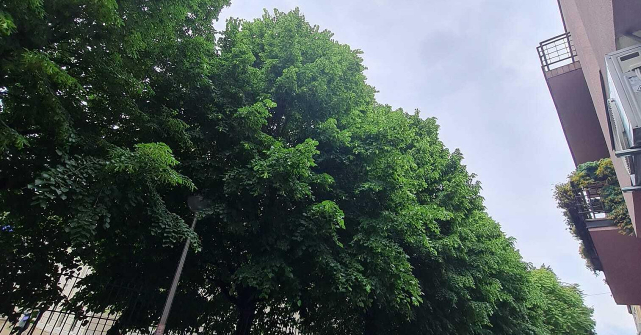 Jutarnji list - Stanari u Zagrebu u zadnji čas zaustavili akciju Ministarstva: 'Sve je krenulo ...