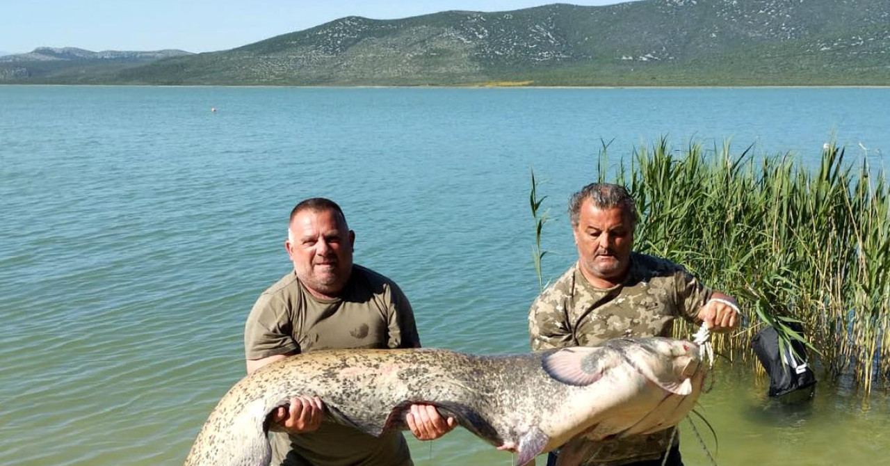 Jutarnji list - Pogledajte nestvaran ulov u Vranskom jezeru, 'čudovište' od 70 kilograma: 'Pa to ...